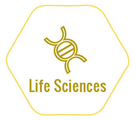 Bioanalytical Technologies - Product Engineering Services & Solutions